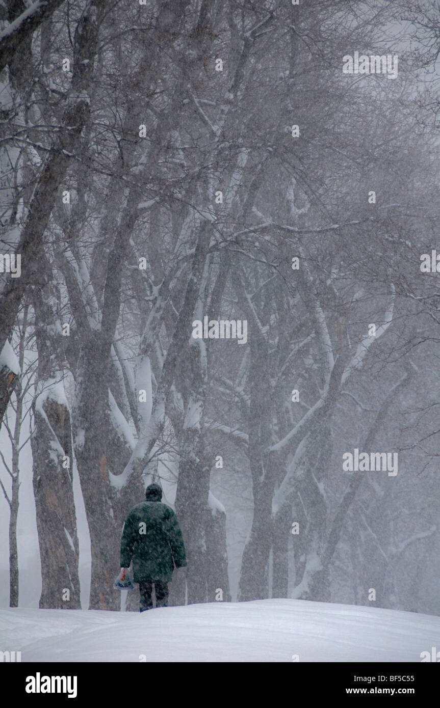 Man walking in heavy Snowstorm Stock Photo - Alamy