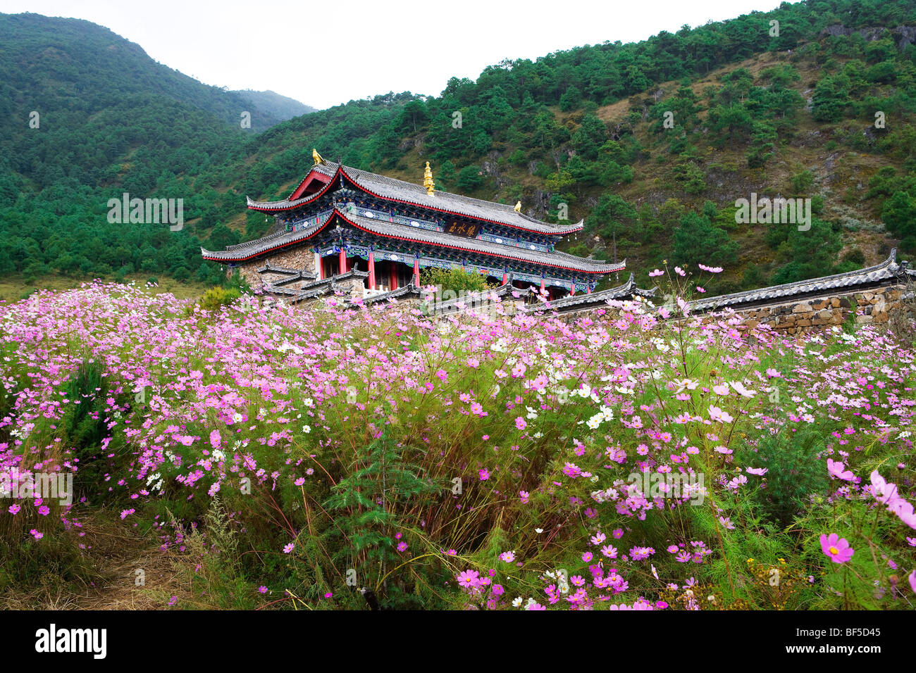Yushui Stockade Scenic Spot, Lijiang, Yunan Province, China Stock Photo ...
