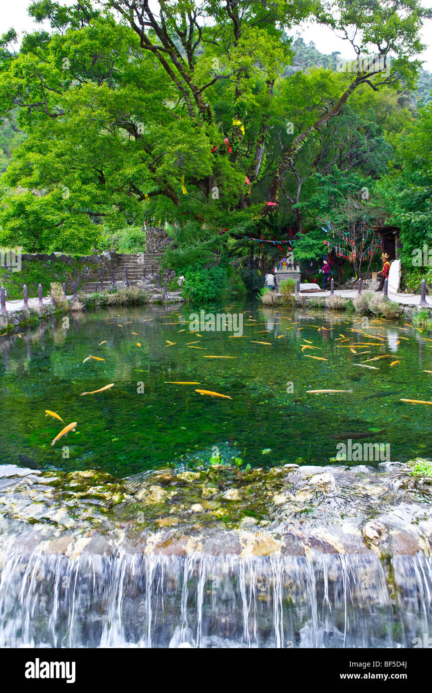 The mouth of Divine Spring, Yushui Stockade Scenic Spot, Lijiang, Yunan ...