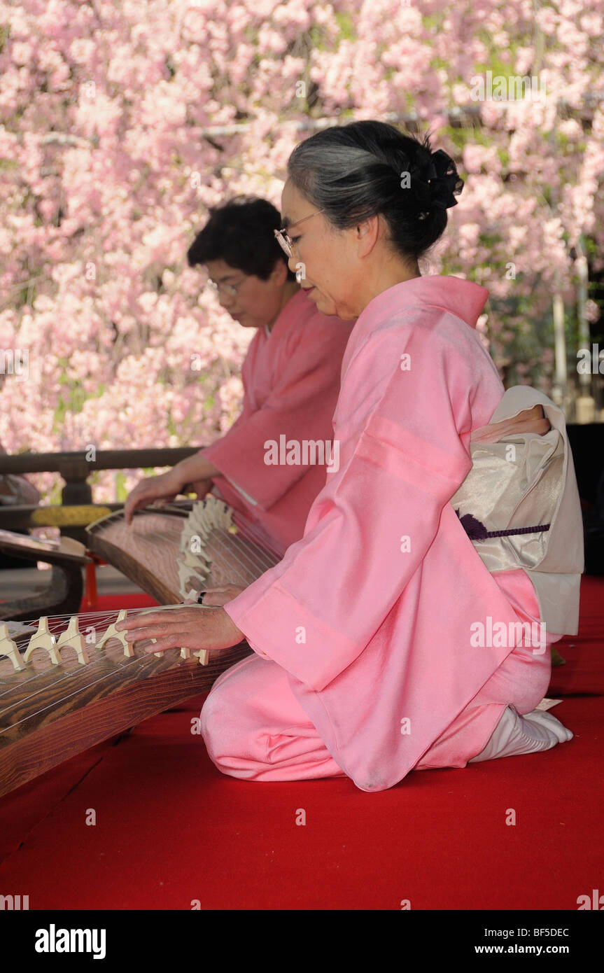 Women playing a Koto, a traditional Japanese stringed musical ...