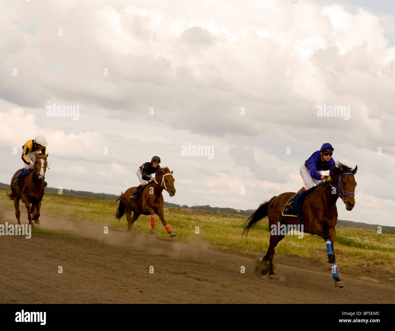 Galloping horses low angle hi-res stock photography and images - Alamy
