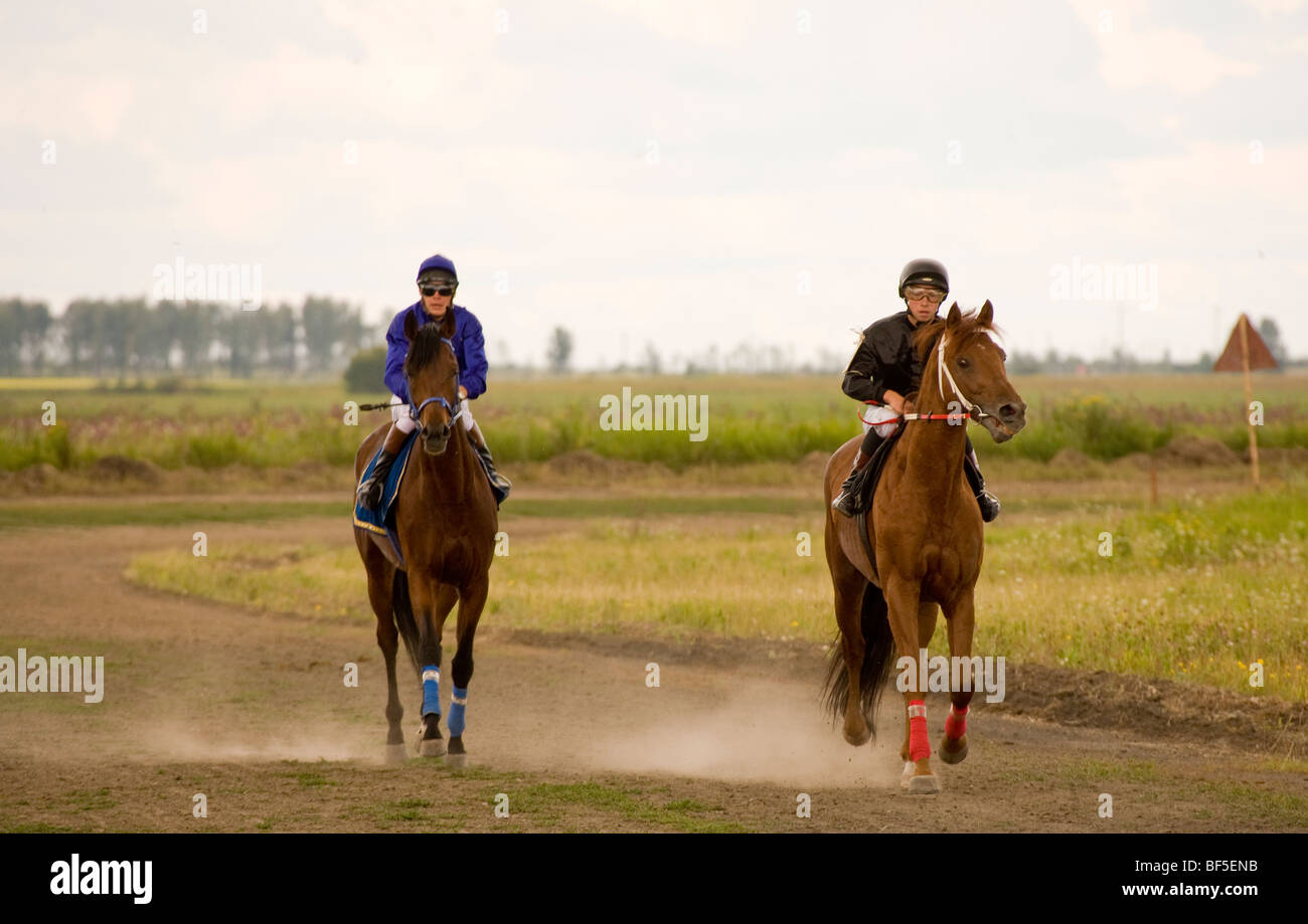 Russia russian horse horses hi-res stock photography and images - Alamy