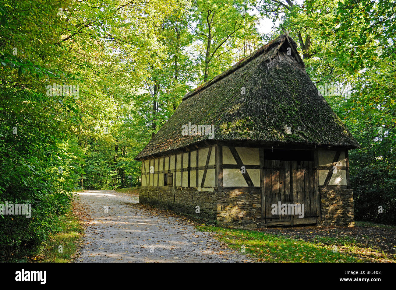 Sheep pen, historic timber-framed house, open-air museum, Westphalian ...