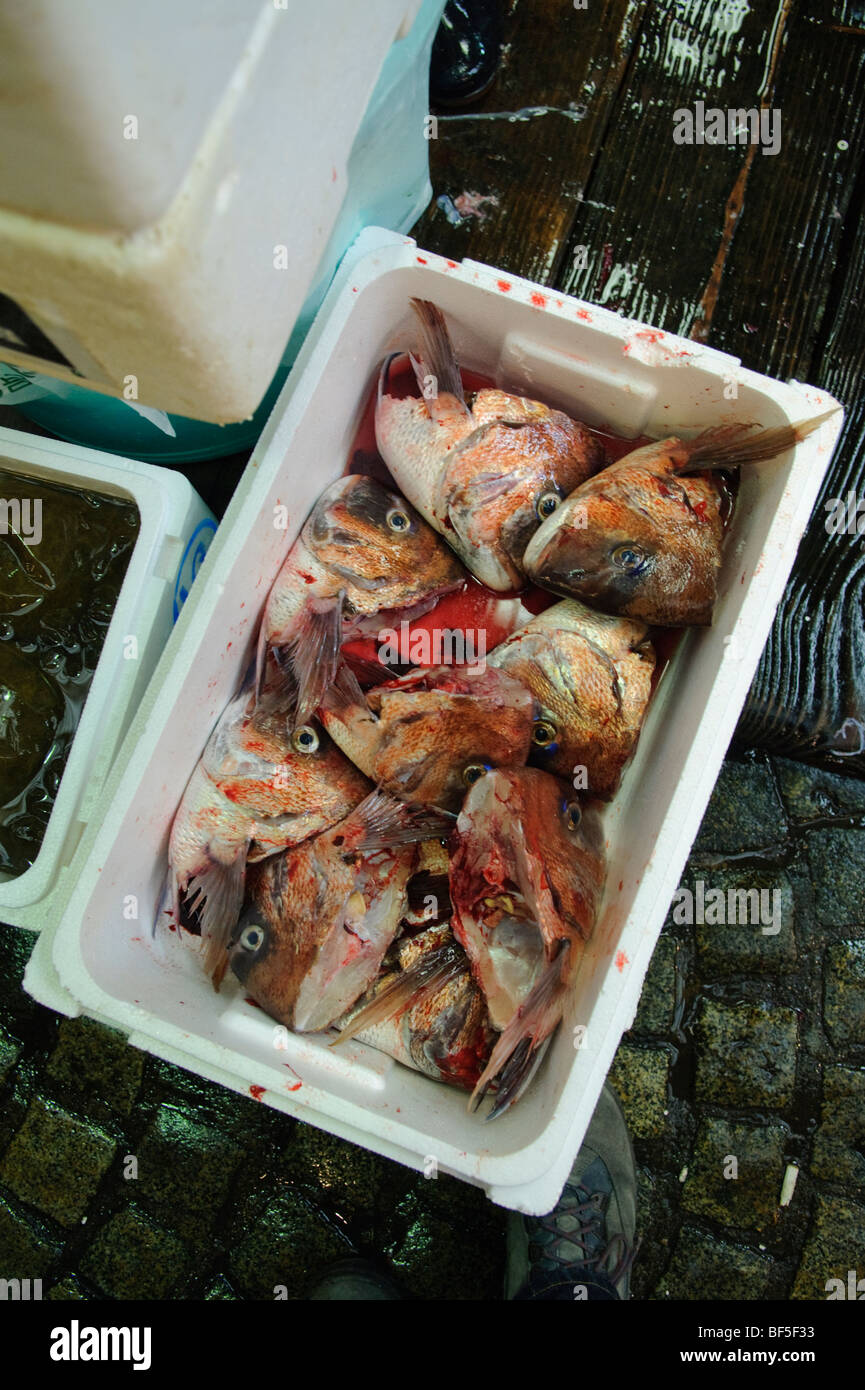 Fish heads hi-res stock photography and images - Alamy