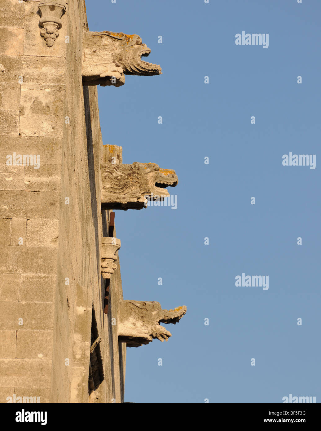 Gargoyles on the Kastellania on Platia Ippokratou, Rhodes Town, Rhodes ...