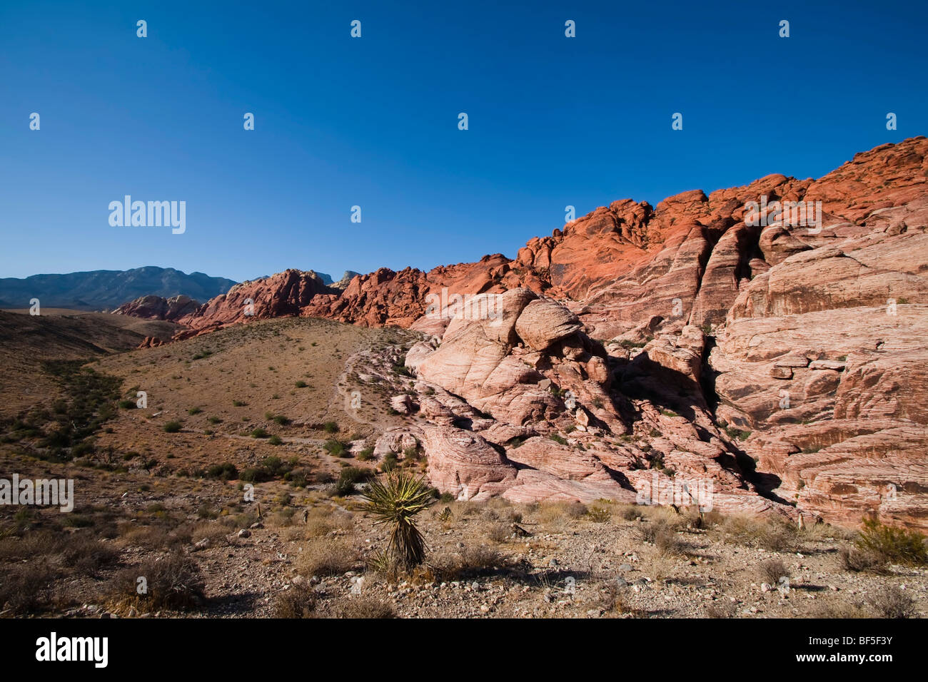 Roter felsen nevada hi-res stock photography and images - Alamy