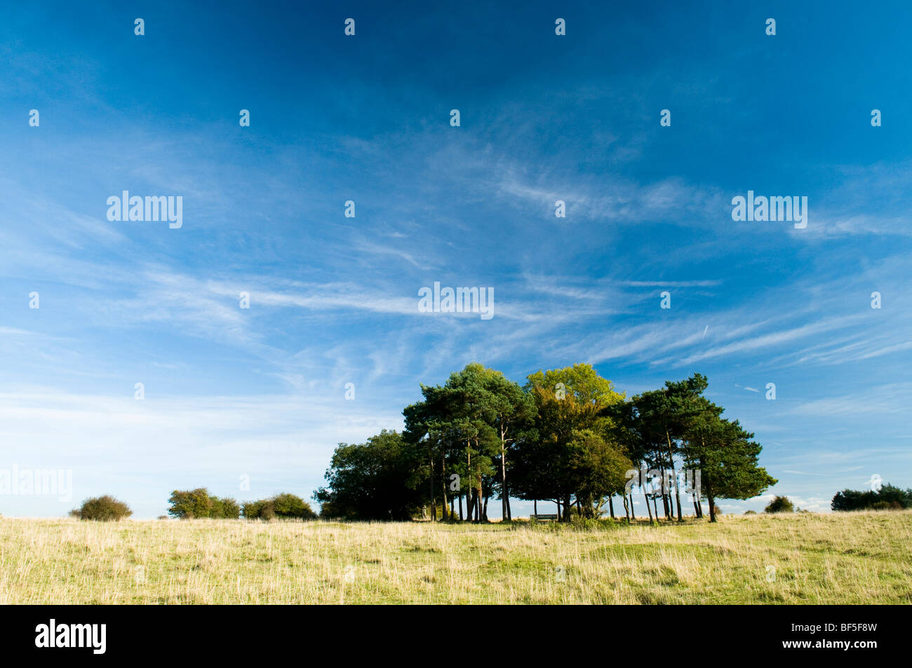Rodborough common hi-res stock photography and images - Alamy