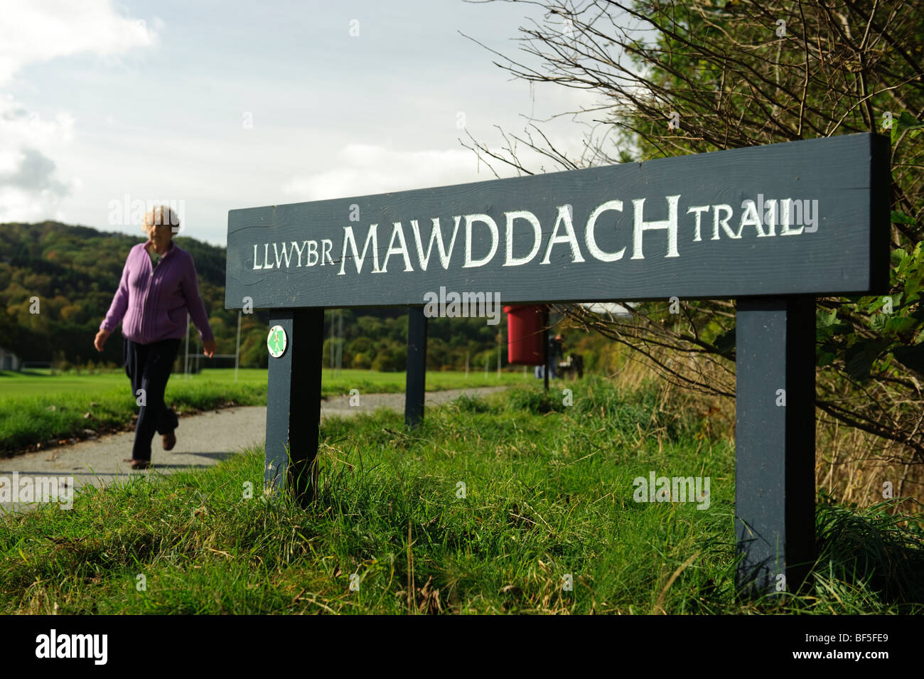 A mature woman walking along the Mawddach Trail at Dolgellau, Gwynedd ...