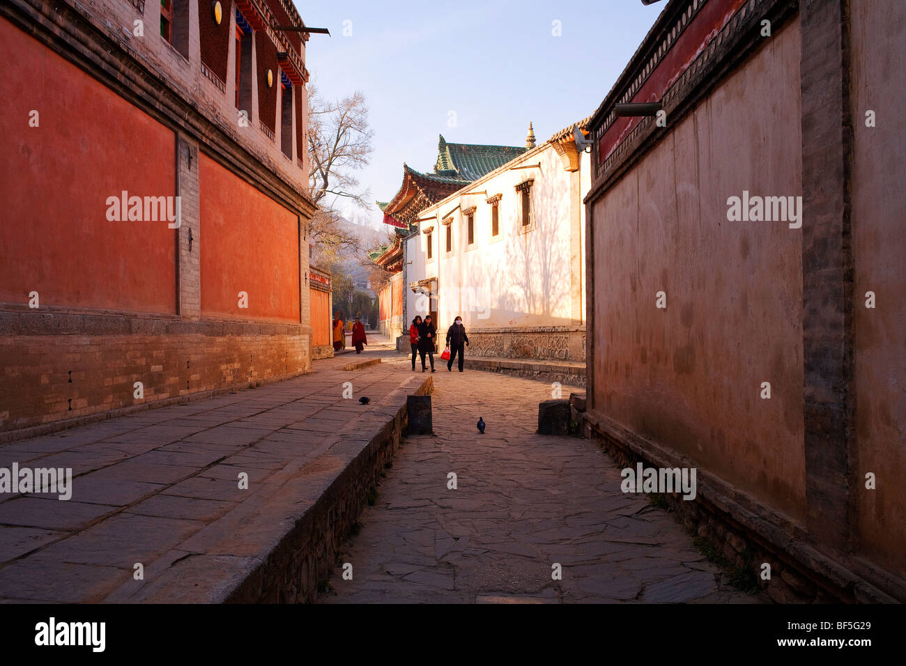 Narrow path between buildings, Ta'er Monastery, Xining, Qinghai ...