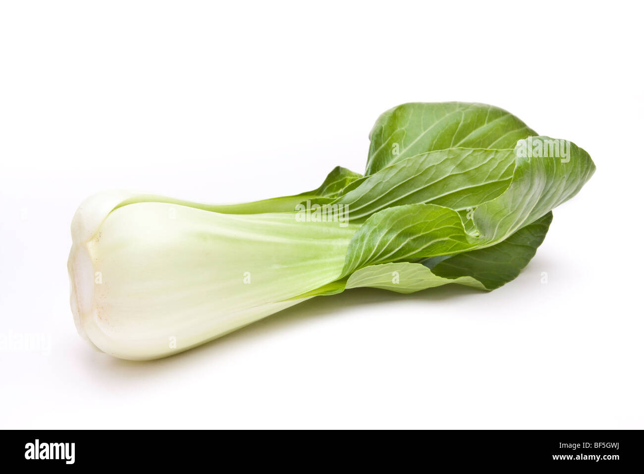 Pak Choi from the cabbage family used in asian cooking isolated against ...
