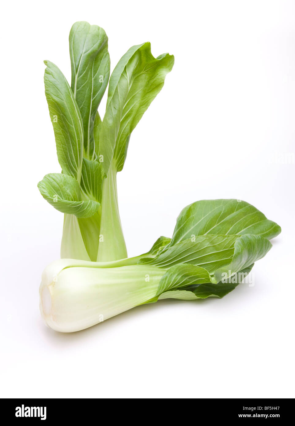 Pak Choi from the cabbage family used in asian cooking isolated against ...