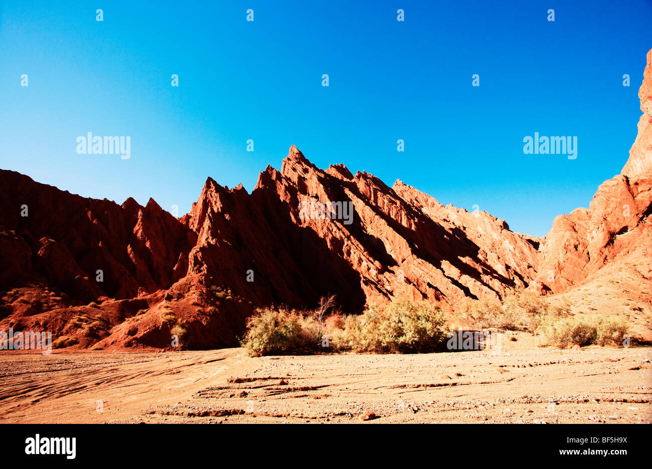 The Great Kuqa Valley Kucha Aksu Prefecture Xinjiang Uyghur