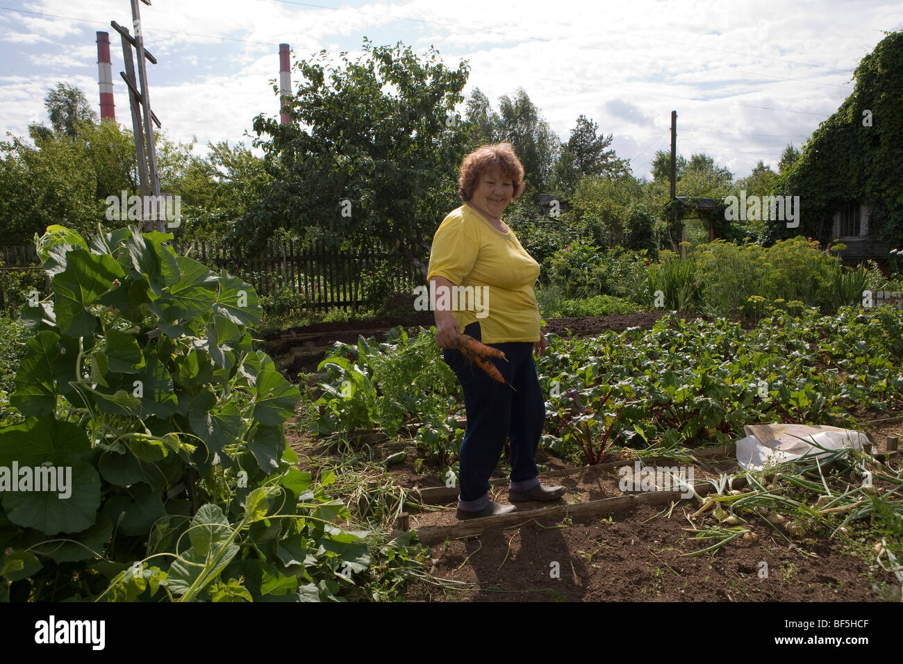 Blue dacha hi-res stock photography and images - Alamy