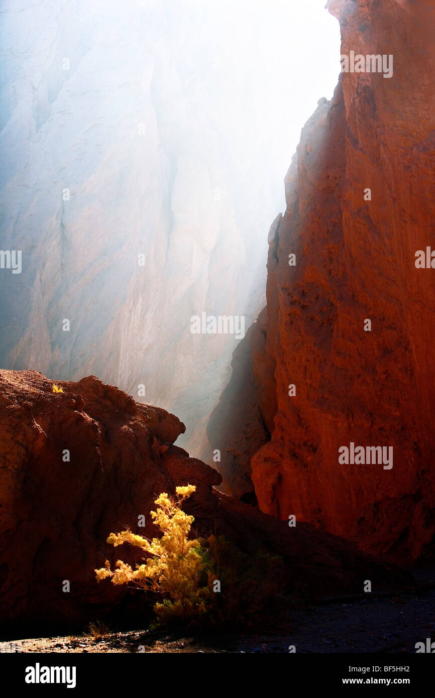 The Great Kuqa Valley, Kucha, Aksu Prefecture, Xinjiang Uyghur ...