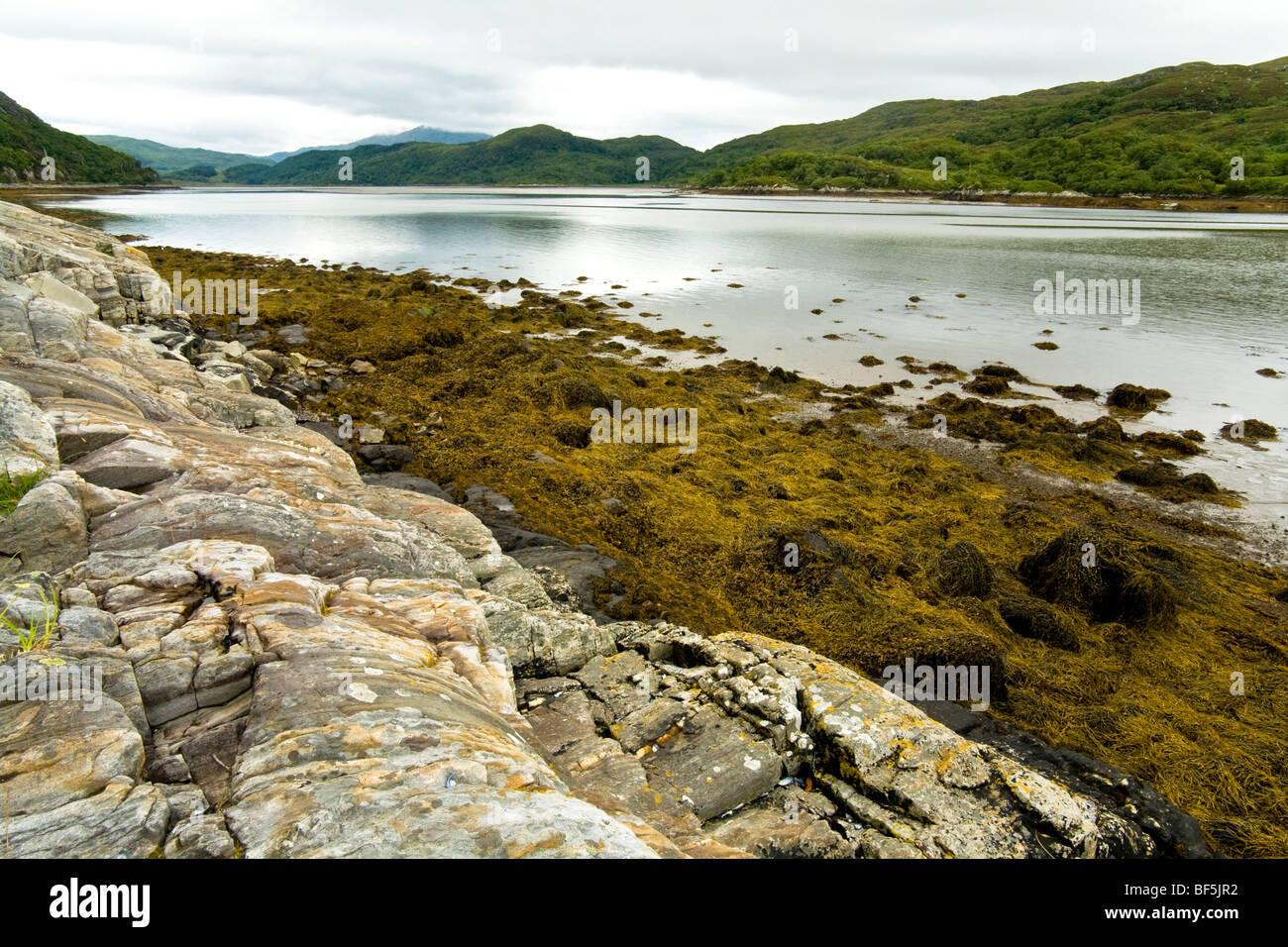 Loch moidart scotland hi-res stock photography and images - Alamy