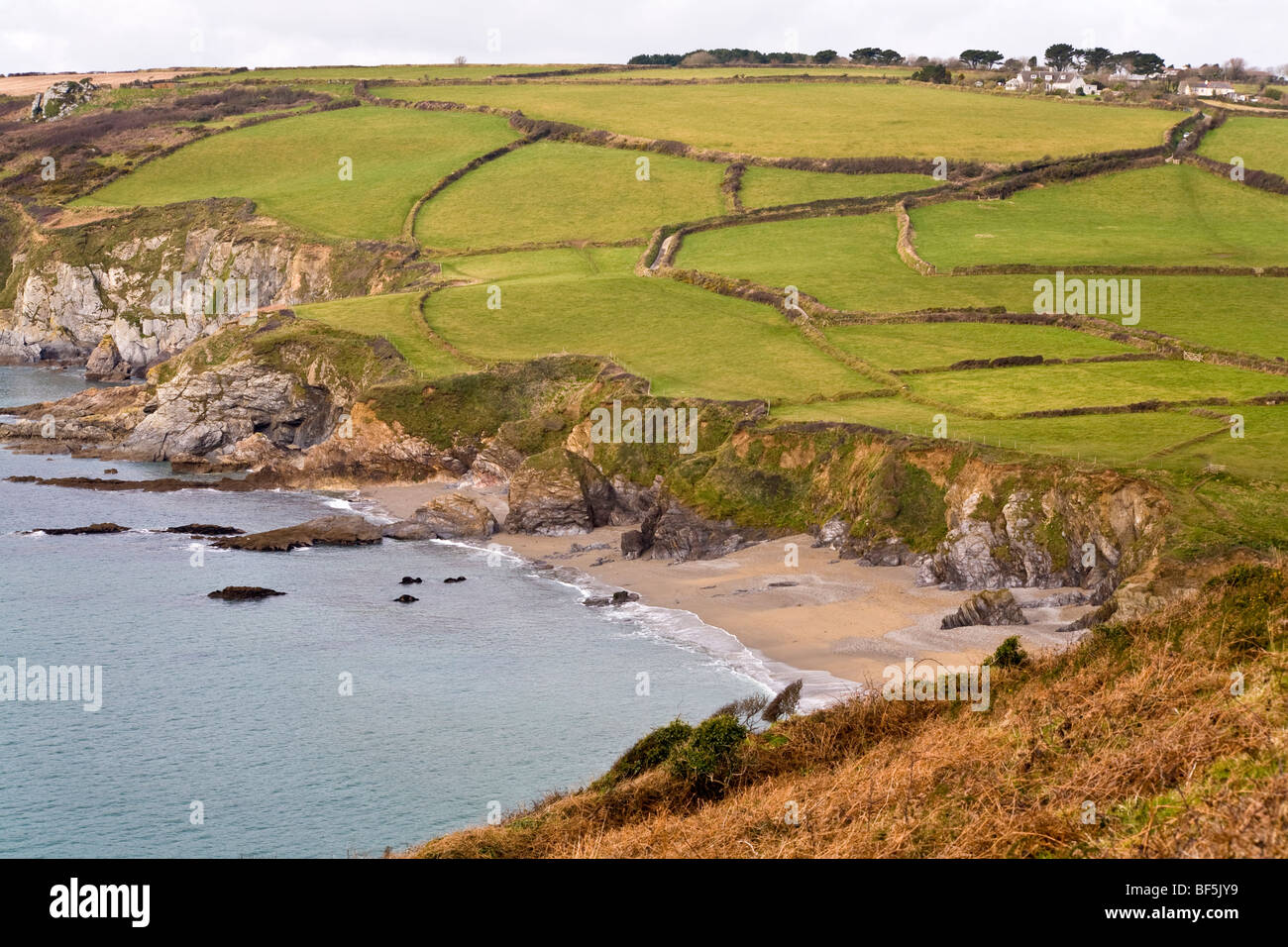 isolated cove, Southern Cornwall, England, UK Stock Photo - Alamy