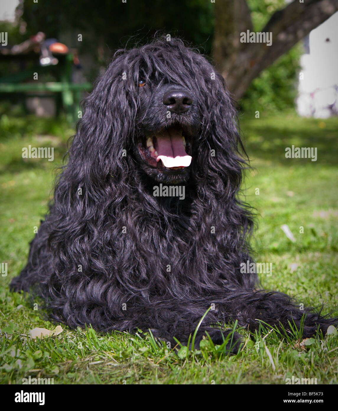 Portuguese open hi-res stock photography and images - Alamy
