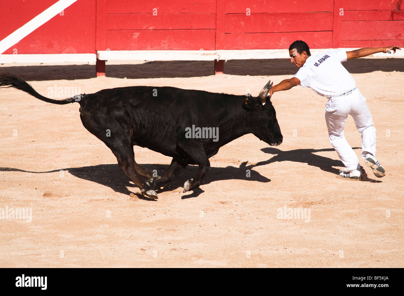 Bull fight hi-res stock photography and images - Alamy