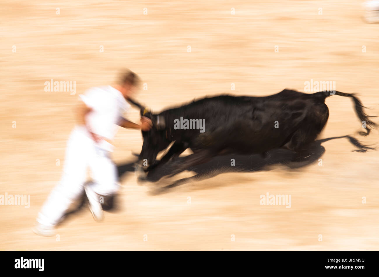 Bullfighting festival running hi-res stock photography and images - Alamy