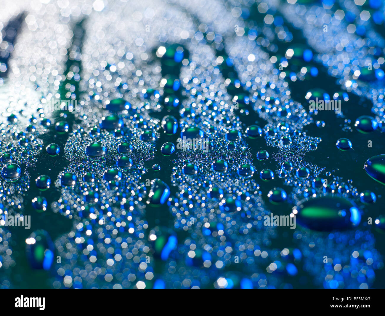 Water surface tension face hi-res stock photography and images - Alamy