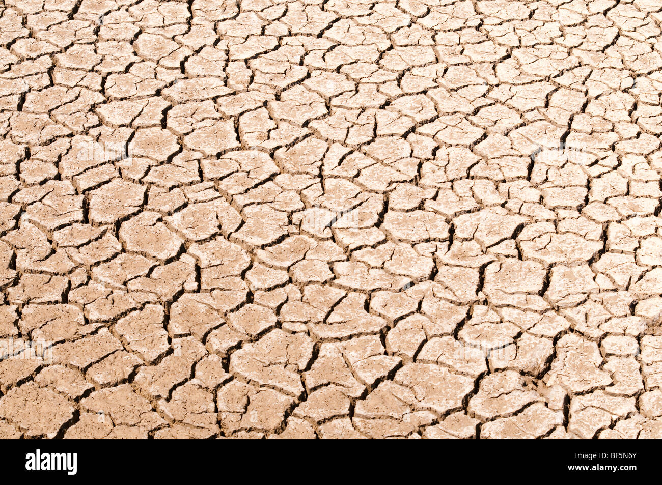 Dried out river-bed Stock Photo - Alamy