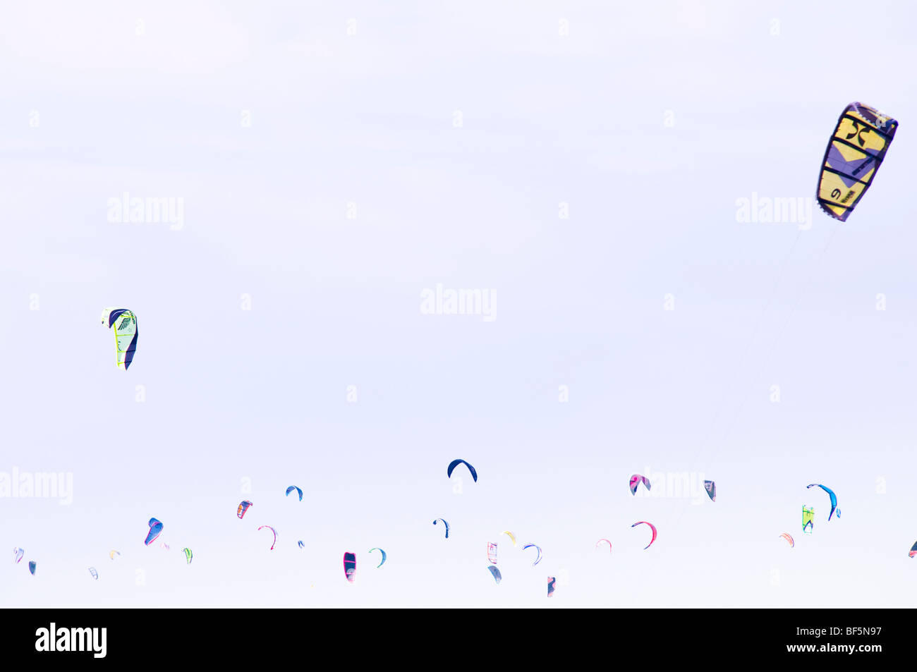 Many Kites flying in the sky Stock Photo - Alamy