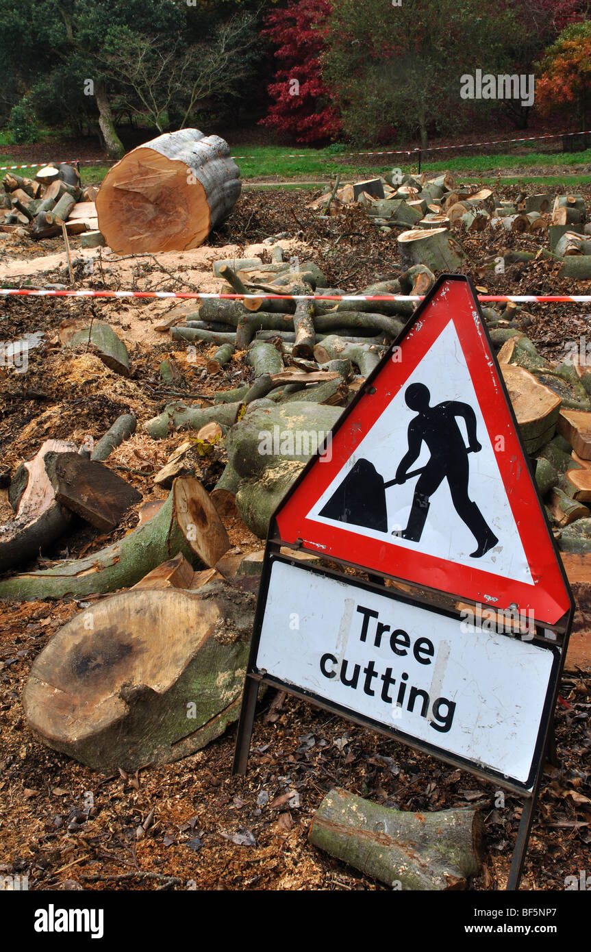 Diseased timber hi-res stock photography and images - Alamy