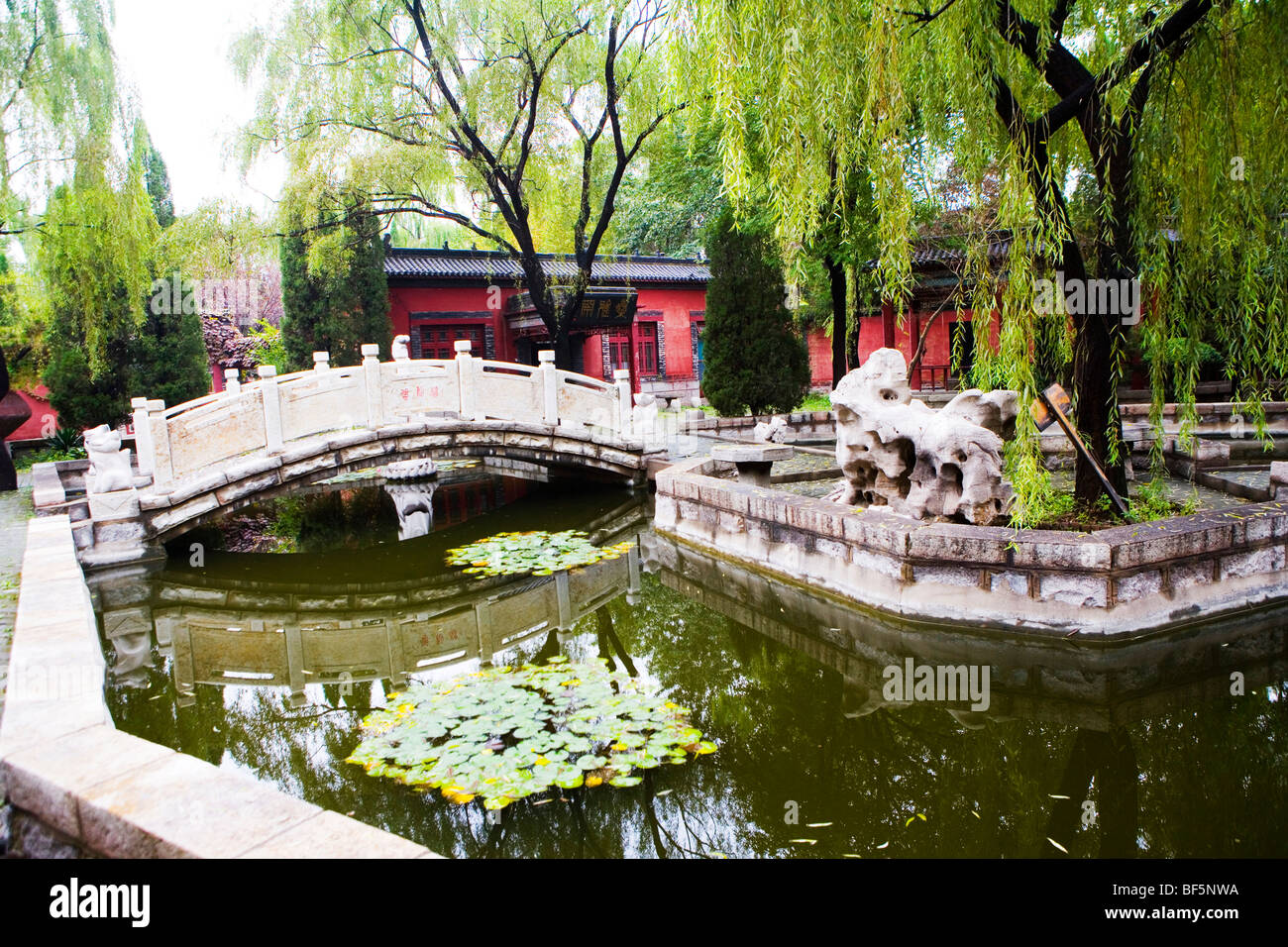 Zibo water hi-res stock photography and images - Alamy