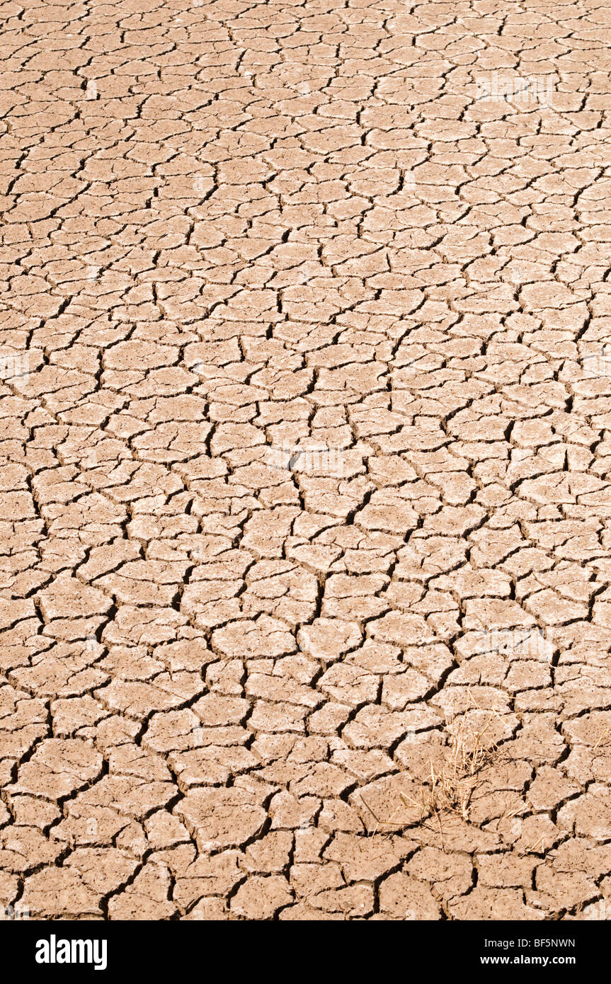 Dried out river-bed Stock Photo - Alamy