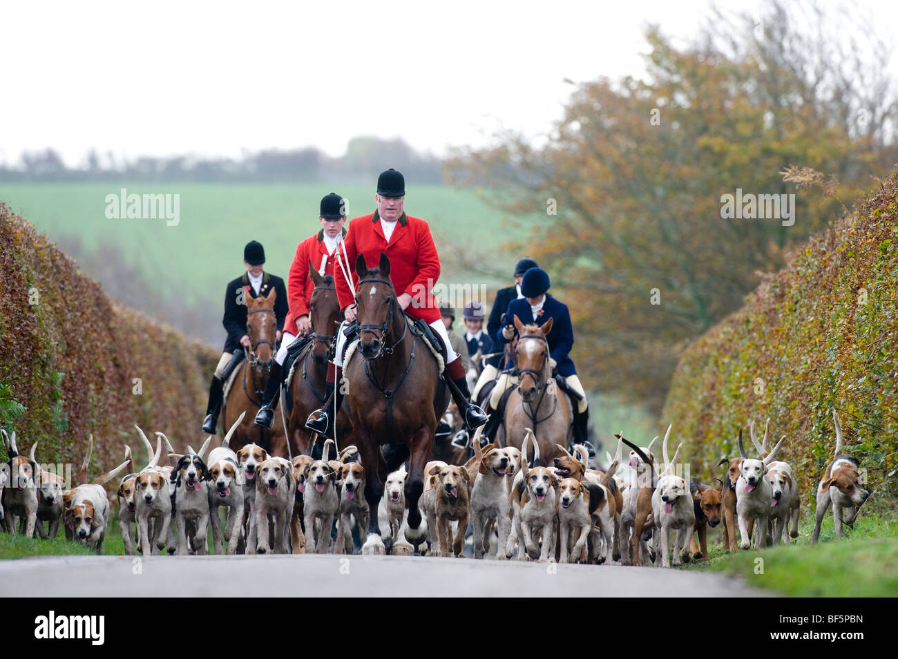 Dulverton farmers hunt enjoy the first day of the season on Exmoor, uk ...
