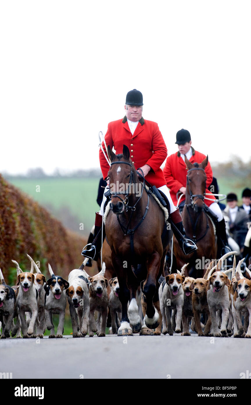 English hunt on horse hi-res stock photography and images - Alamy