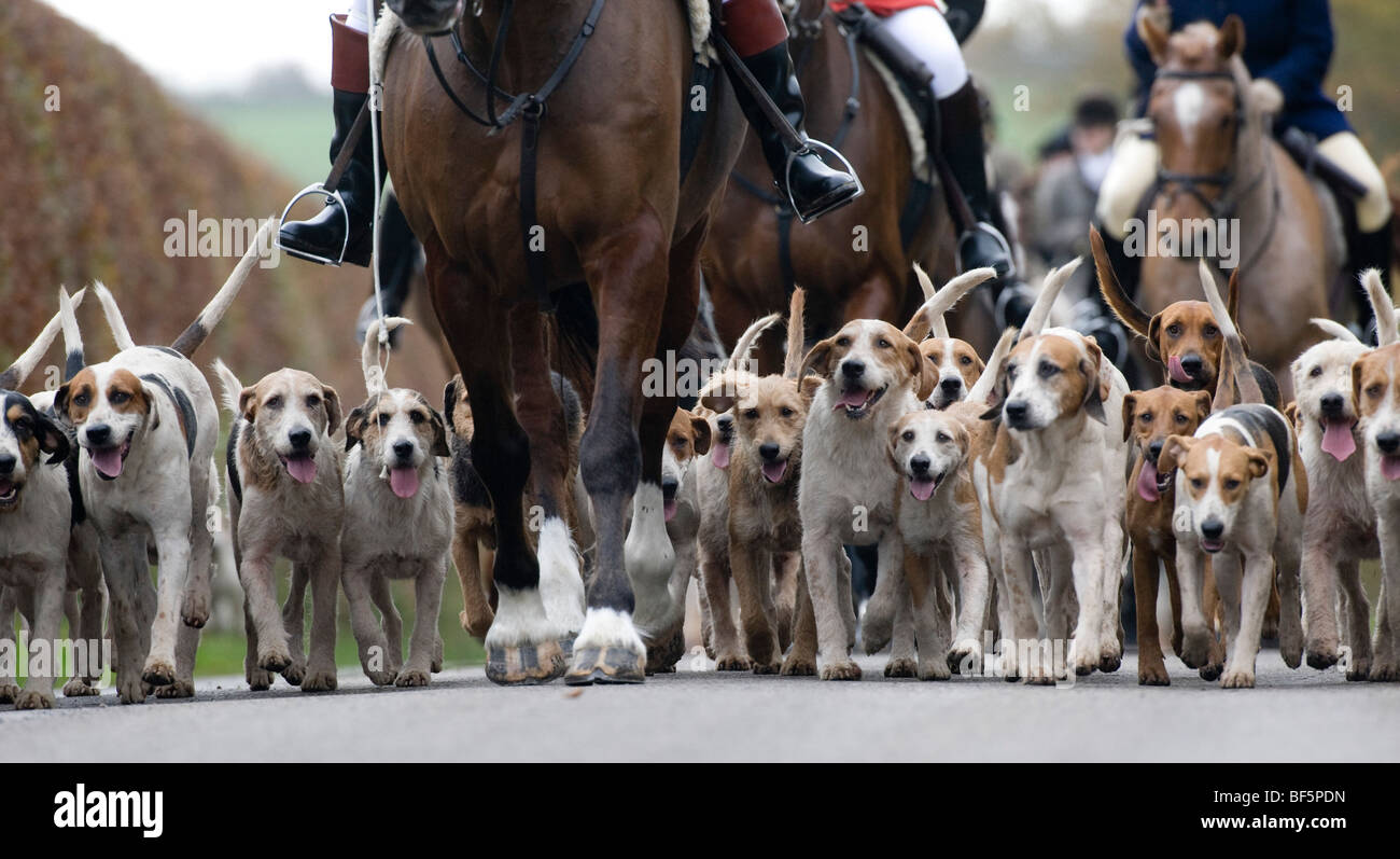 Dulverton farmers hunt enjoy the first day of the season on Exmoor, uk ...