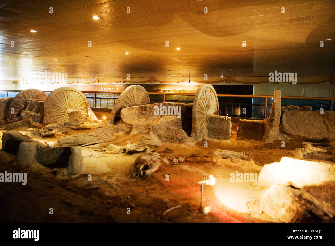 Ancient horse-and-chariot funeral pit, Linzi Museum of Ancient Chariots ...