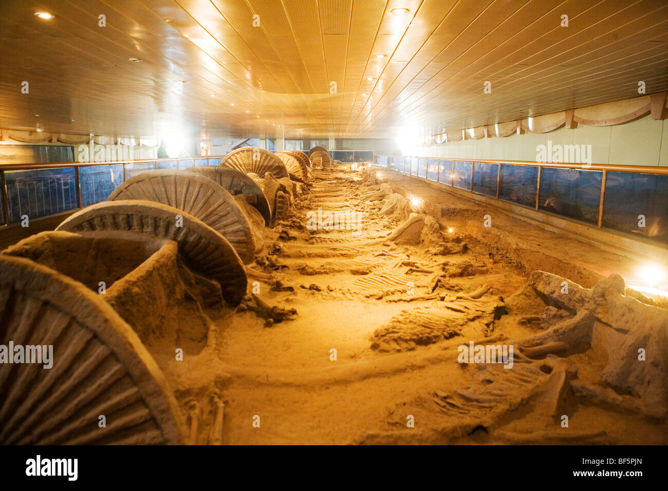 Ancient horse-and-chariot funeral pit, Linzi Museum of Ancient Chariots ...