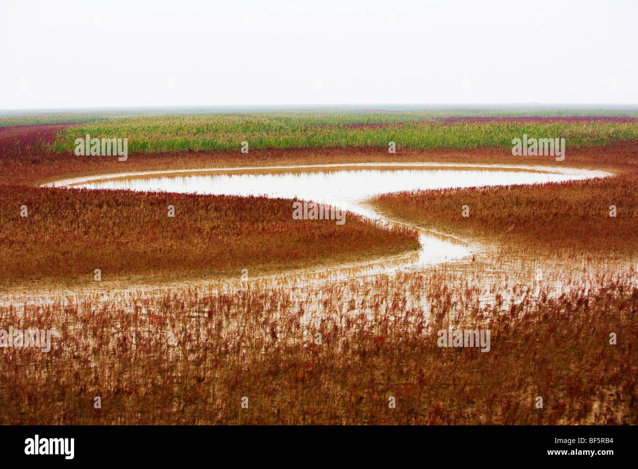 Yellow River Delta Marshland in Dongying City, Shandong, China Stock ...
