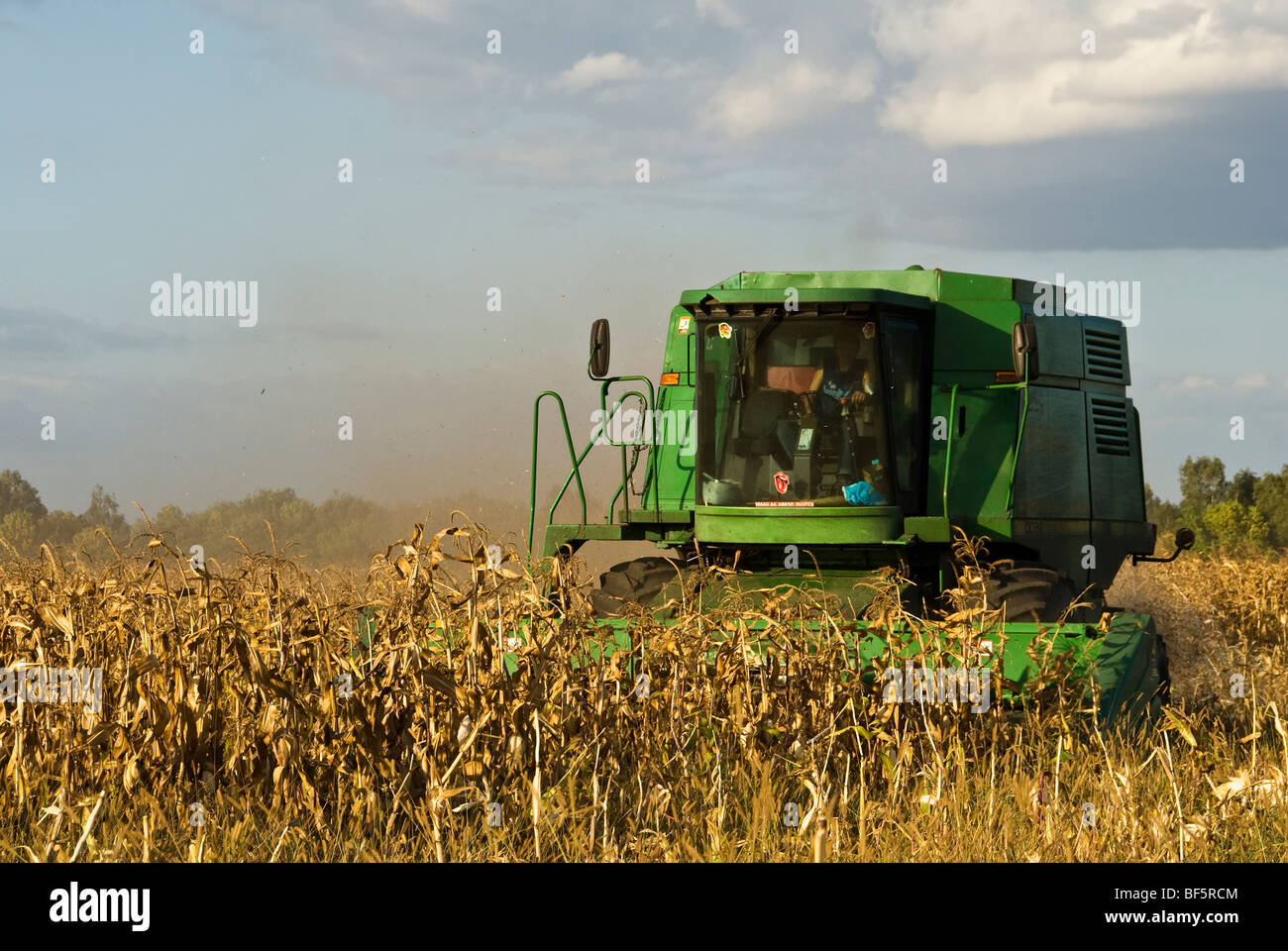 Combine corn hi-res stock photography and images - Alamy