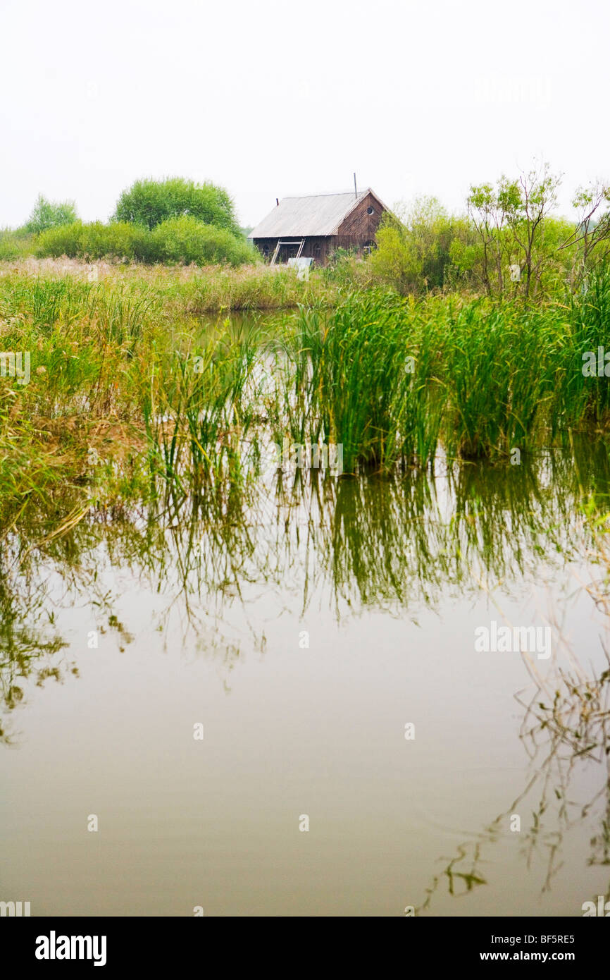 Dongying High Resolution Stock Photography and Images - Alamy