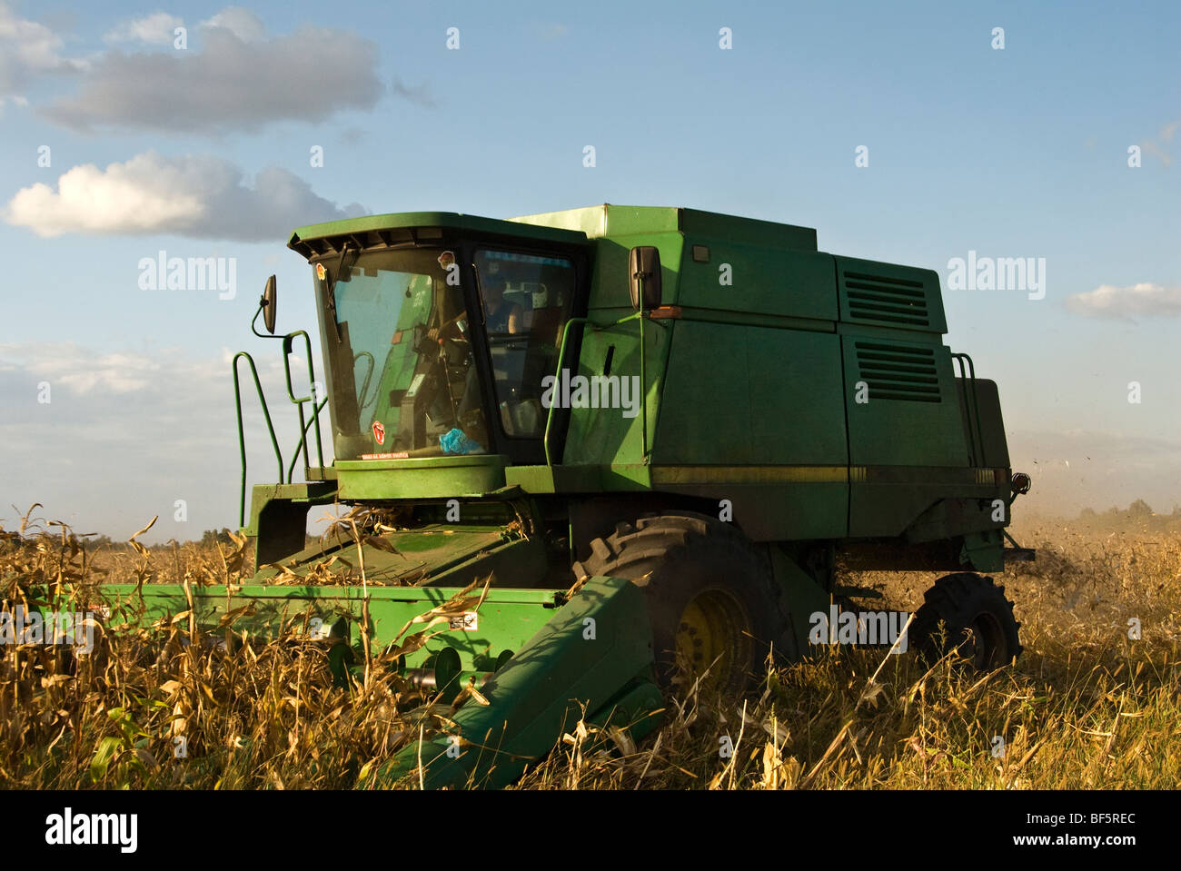 a combine harvesting a field Stock Photo - Alamy
