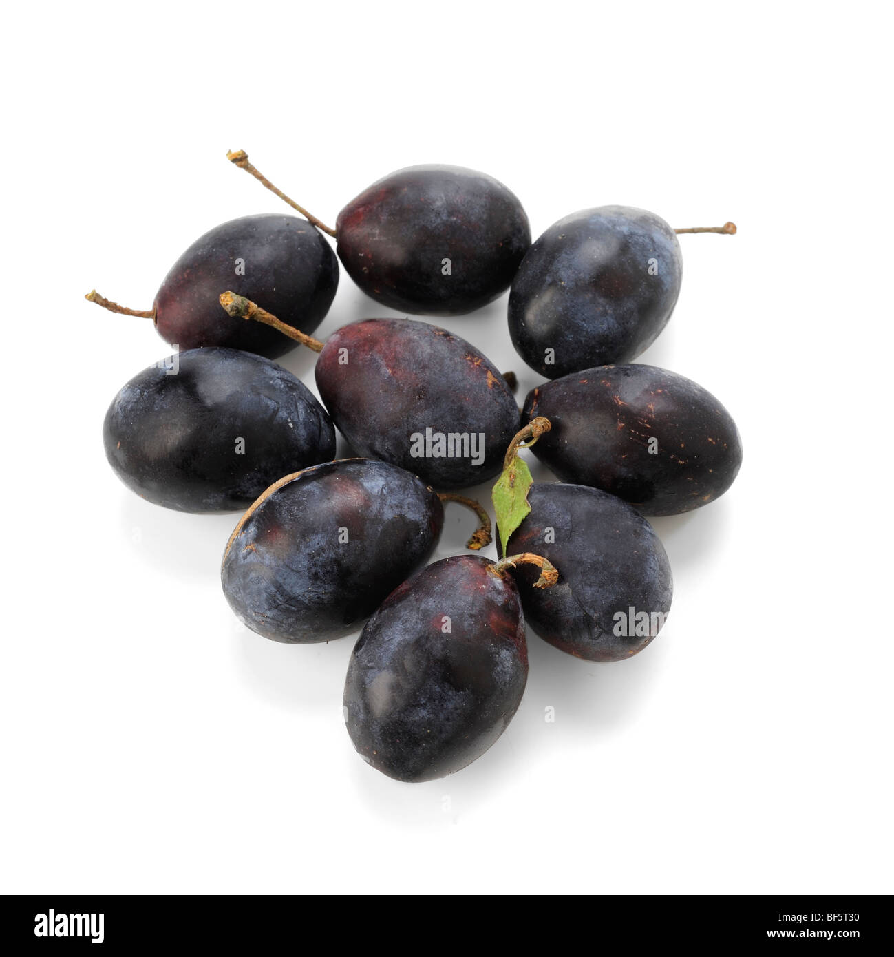 Damsons plum hi-res stock photography and images - Alamy