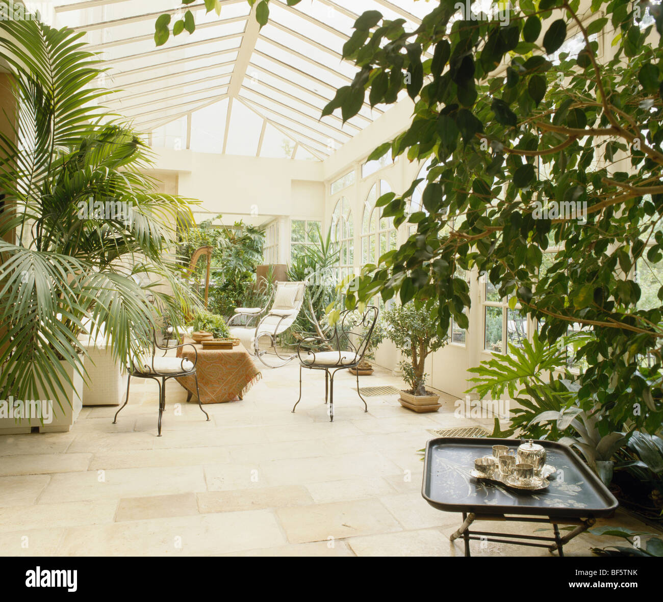 Tall houseplants in large traditional conservatory with cream tiled ...