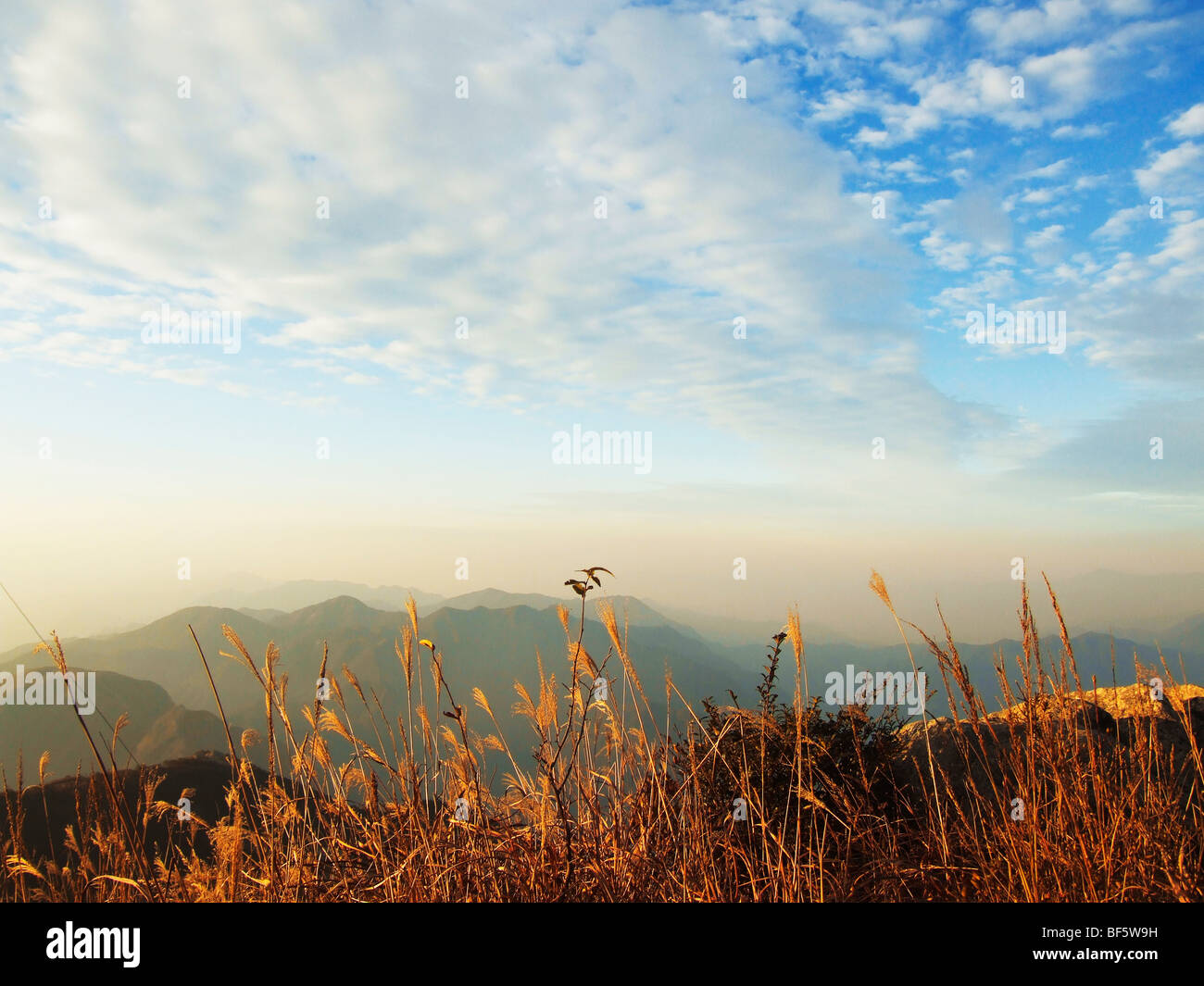 Jinji Stock Photos & Jinji Stock Images - Alamy