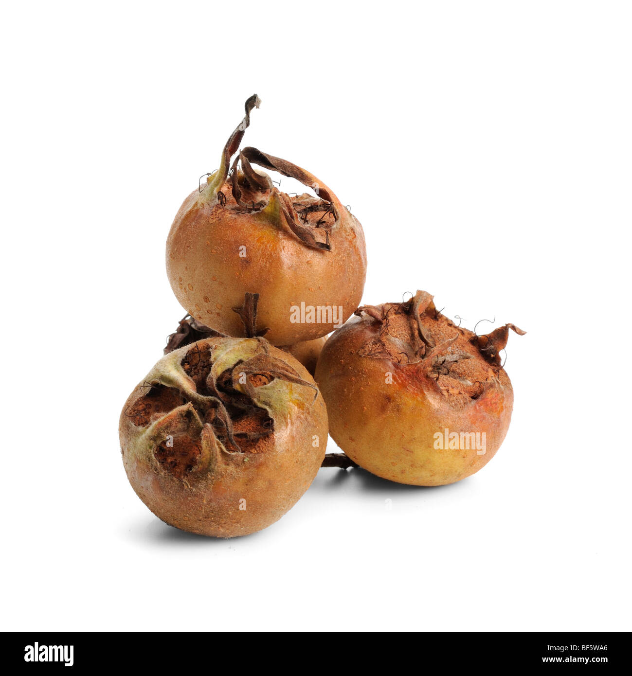 Medlars fruit hi-res stock photography and images - Alamy