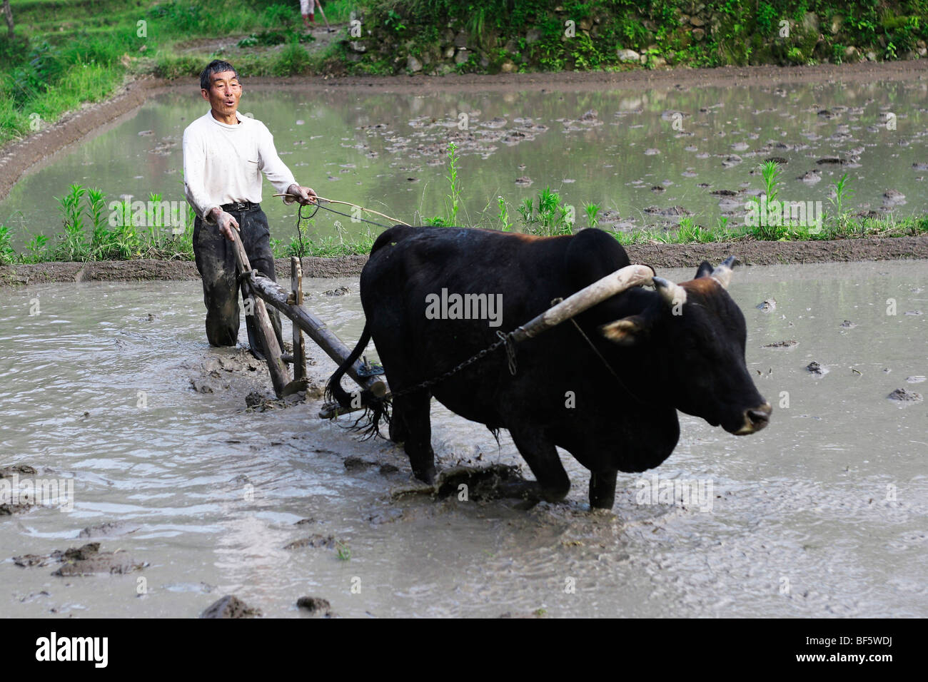 Ancient plough hi-res stock photography and images - Alamy