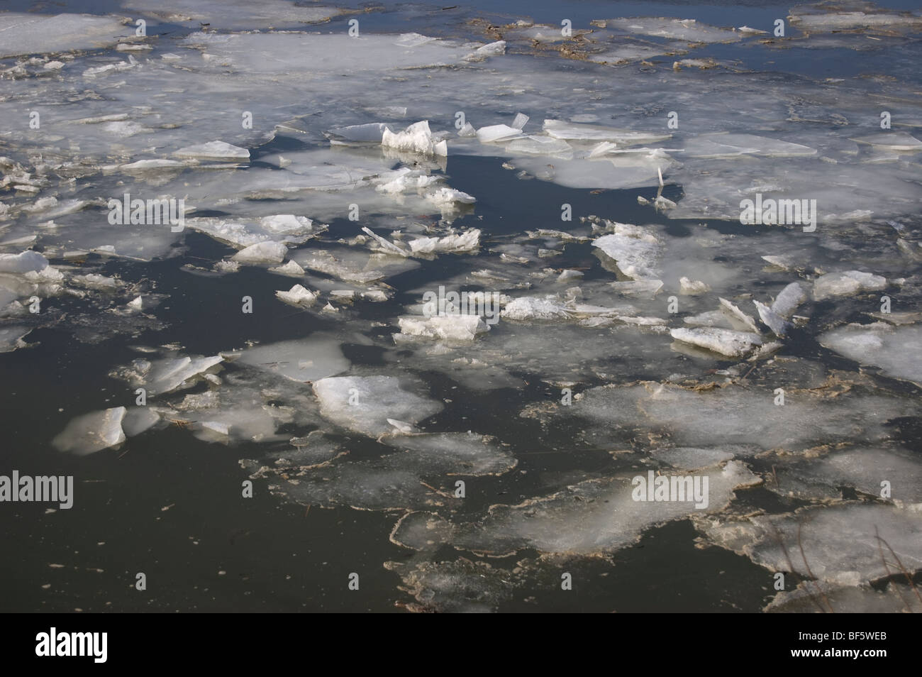 Early spring breaking ice float hi-res stock photography and images - Alamy