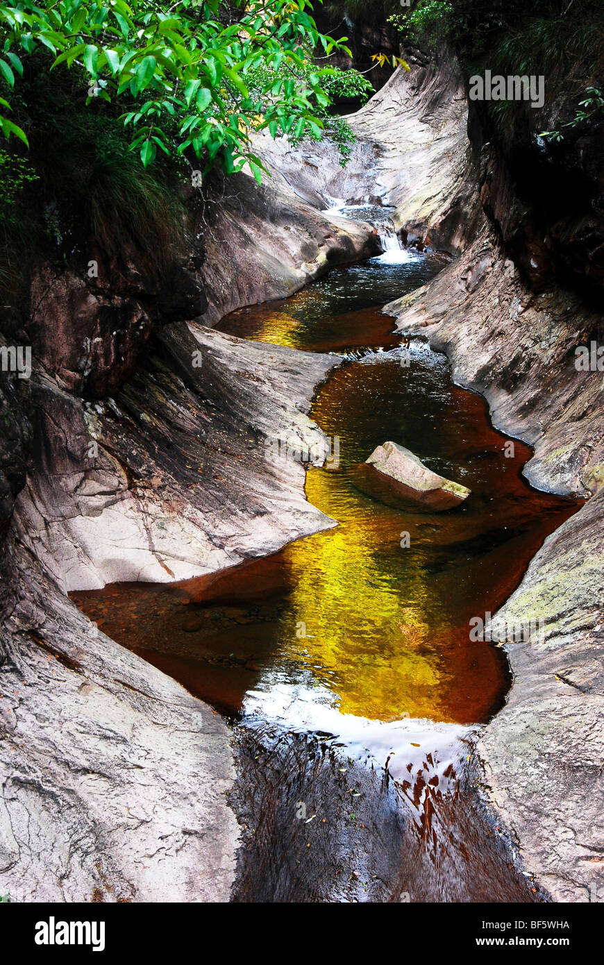 Golden Creek in Longqi Mountain, Longqiyuan Scenic Area, Wencheng ...