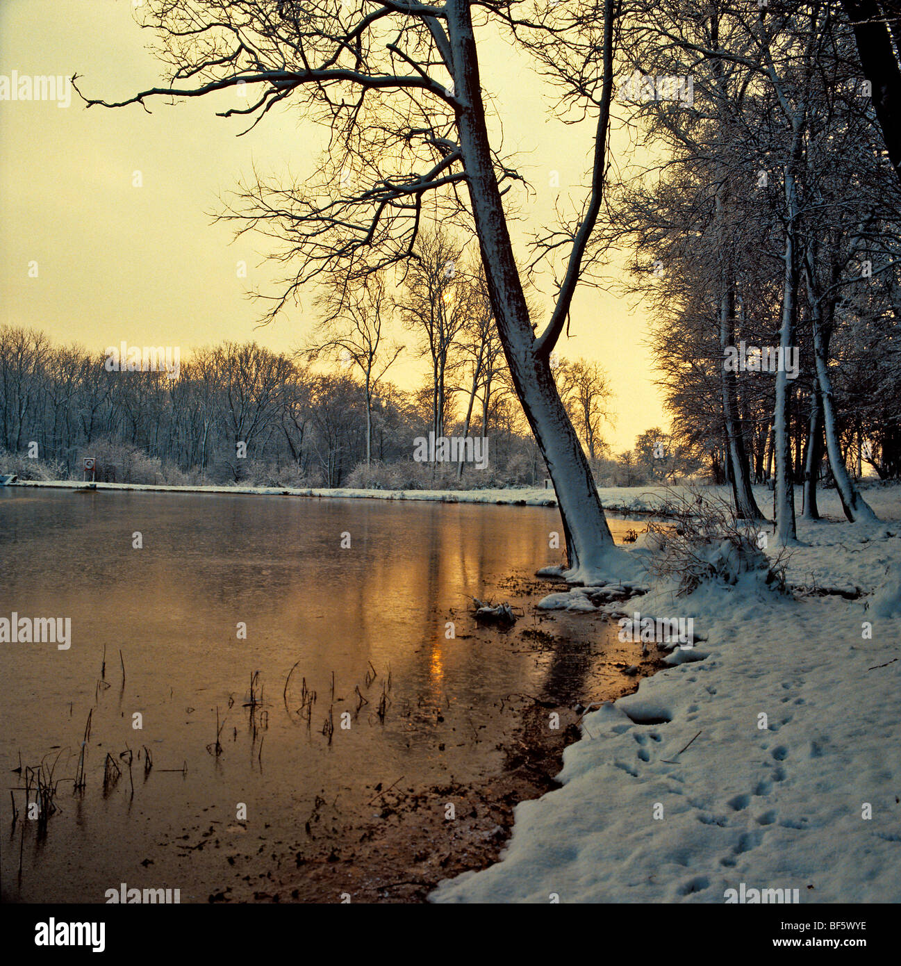 A winter scene of a frozen lake and snow covered trees Stock Photo - Alamy