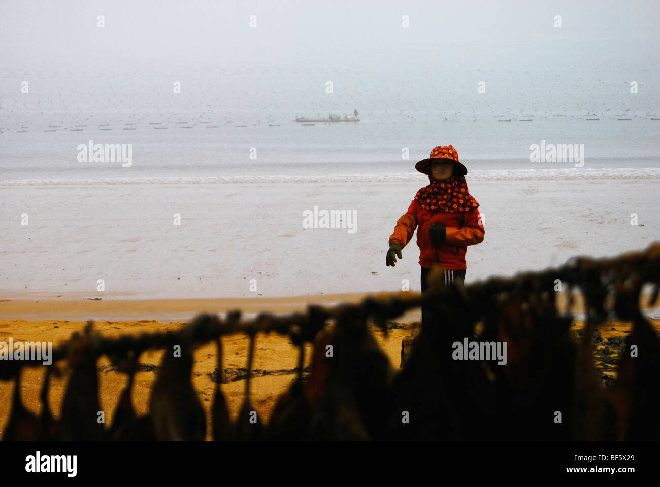 Xiapu beach hi-res stock photography and images - Alamy