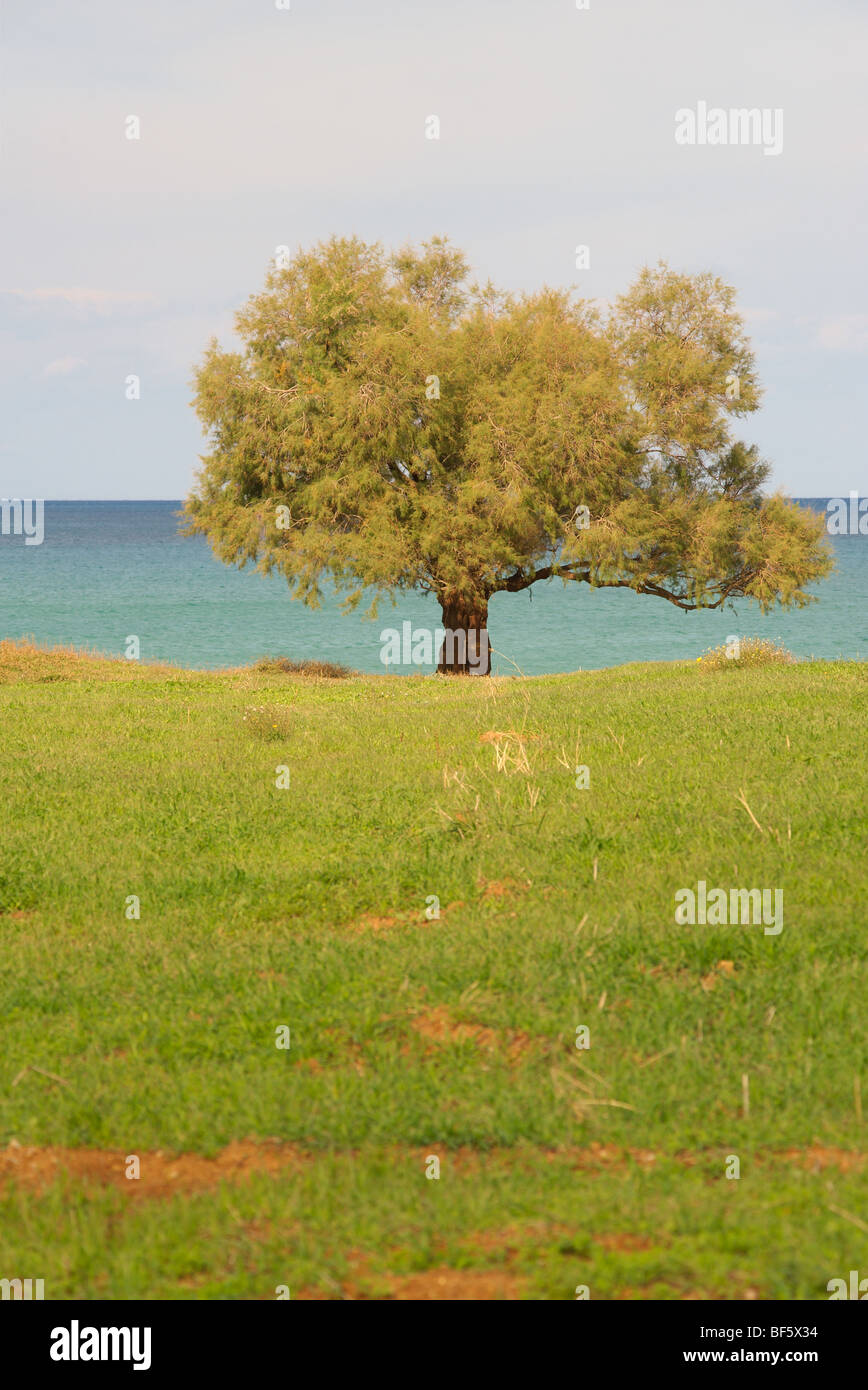 Grc single hi-res stock photography and images - Alamy