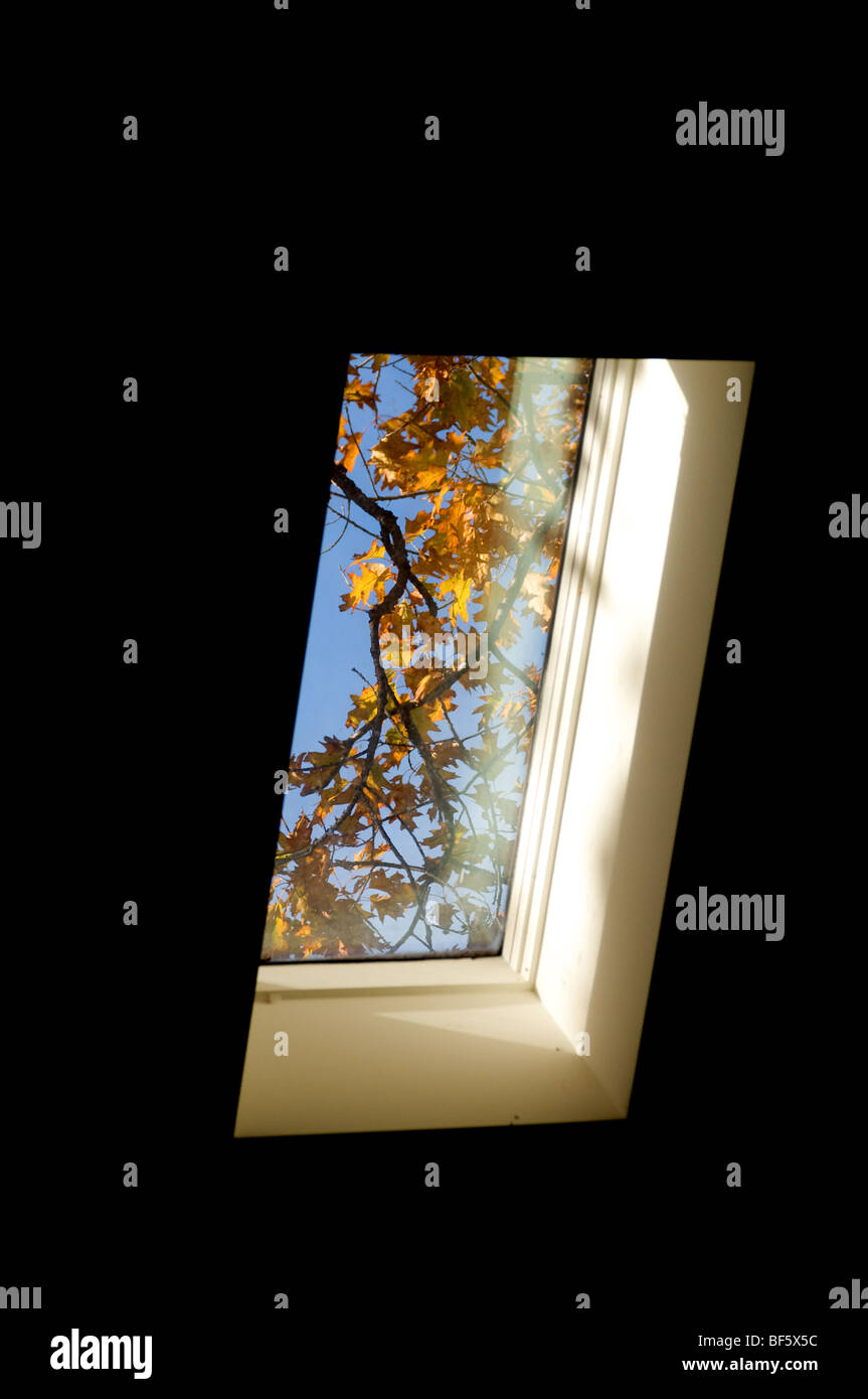 Through skylight hi-res stock photography and images - Alamy