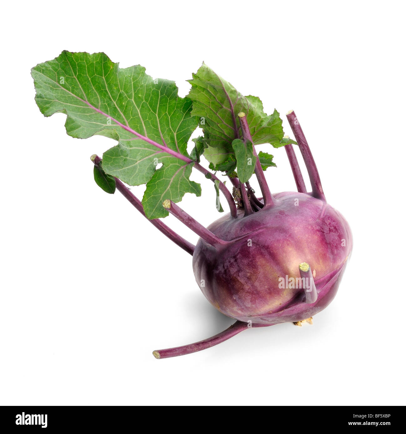 Rabi hi-res stock photography and images - Alamy